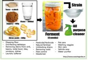 Make your own bio enzyme >